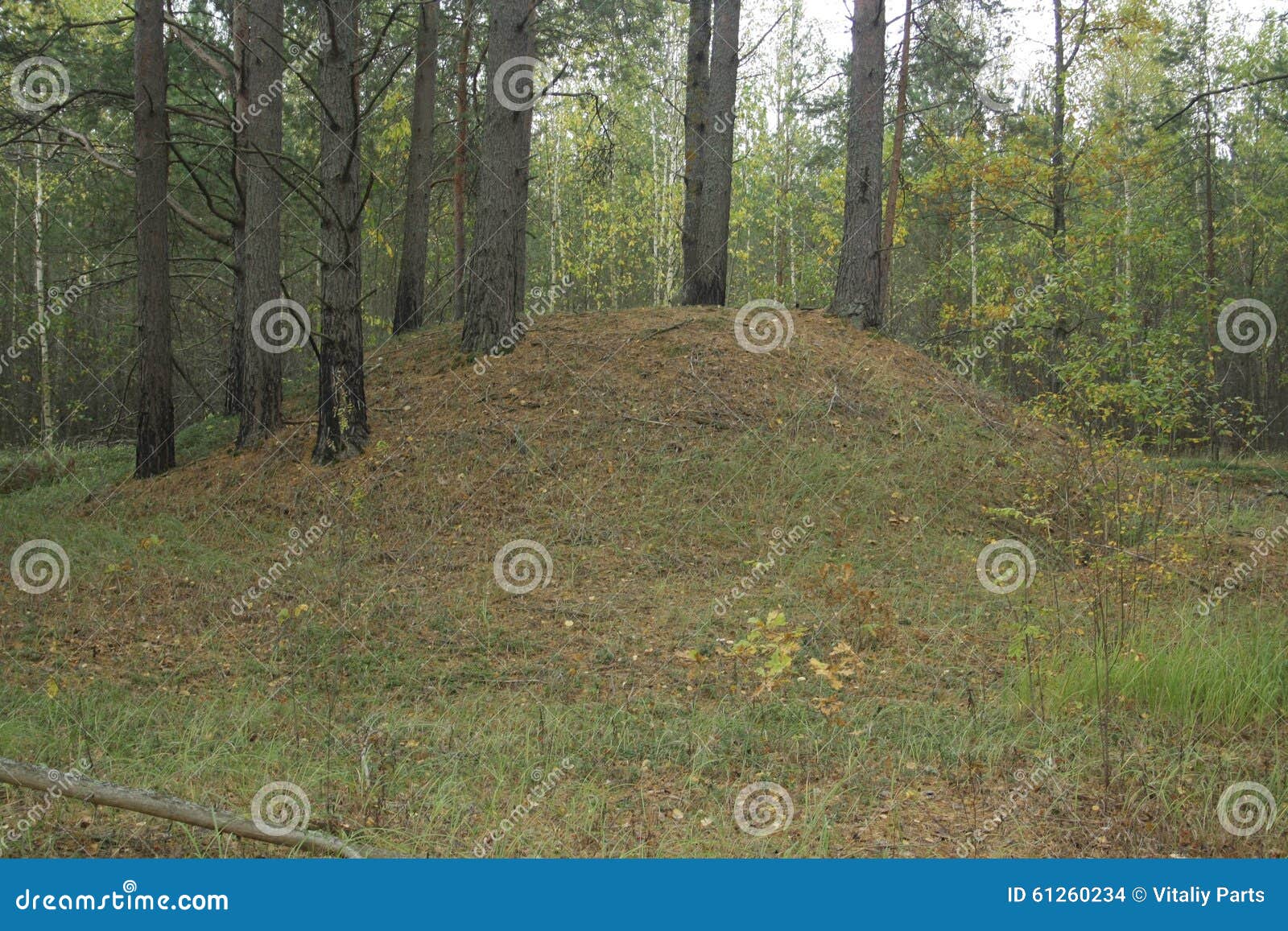 An ancient burial mound stock photo. Image of overgrown - 61260234