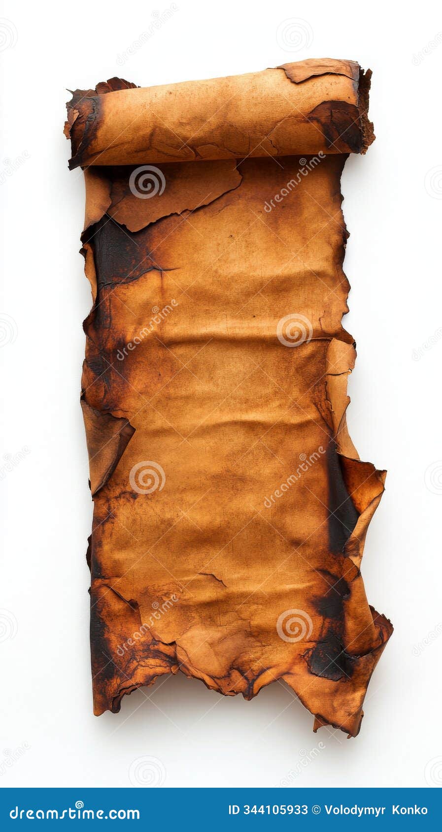 Ancient Burnt Parchment Scroll on White Background, Vintage Document ...