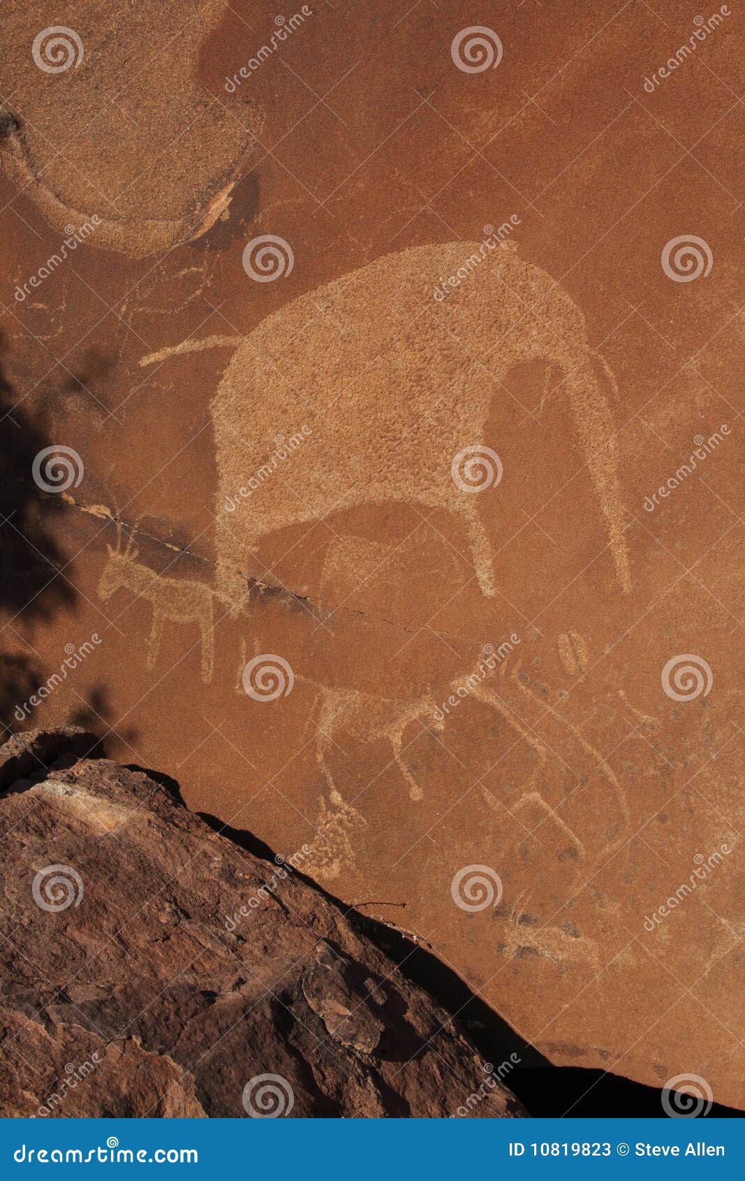 Ancient Bushman Carvings - Namibia Stock Image - Image of bushman ...