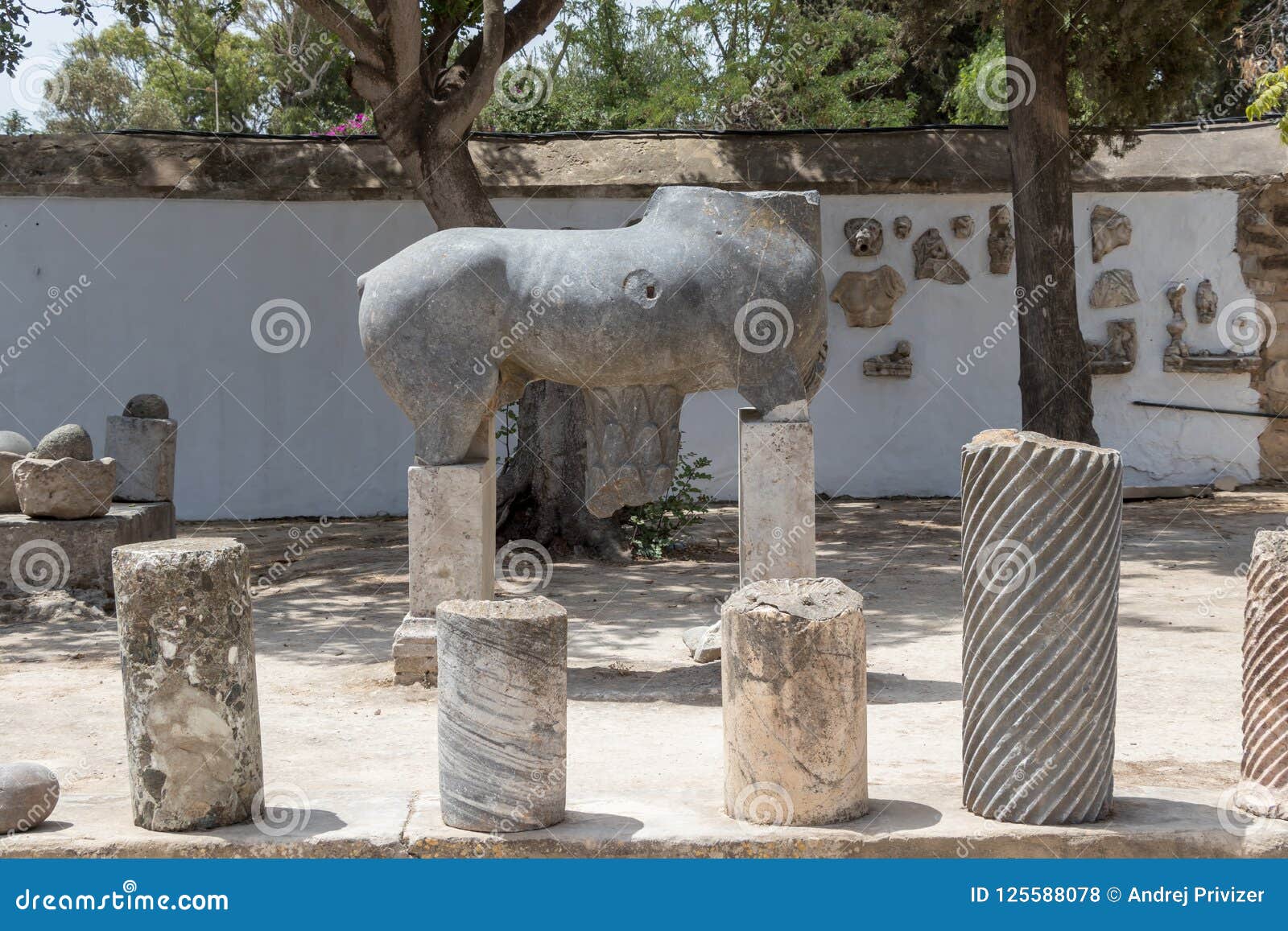 Ancient Carthage, Visiting the Ruins, Tunisia, Africa Stock Photo ...