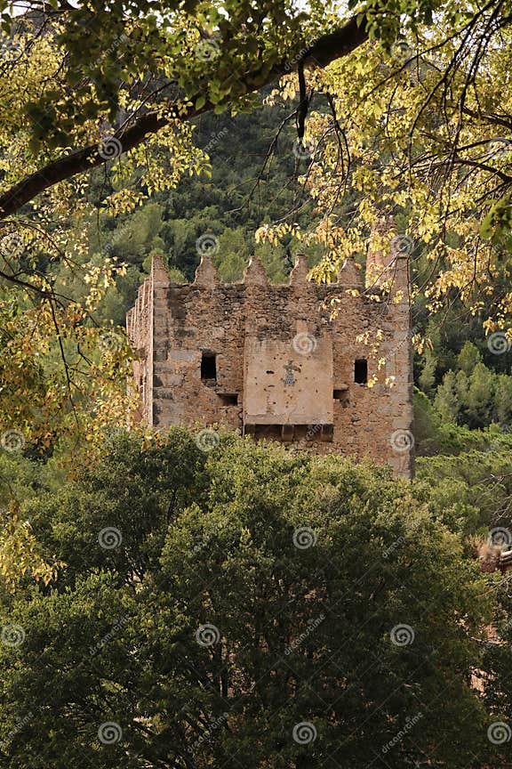 An Ancient Castle on the Background of a Forest Stock Photo - Image of ...