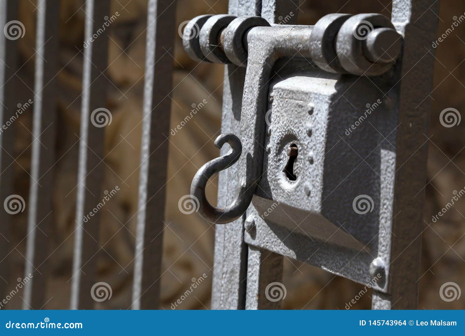 An Ancient Castle on a Metal Gate Stock Photo - Image of gothic, gate ...