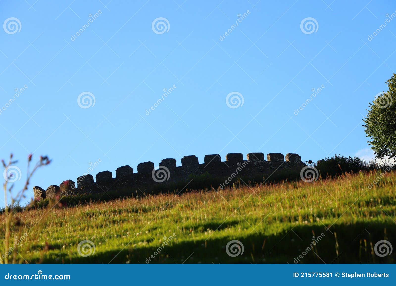 Ancient Castle Turning To Rubble Stock Image - Image of build, intrigue ...