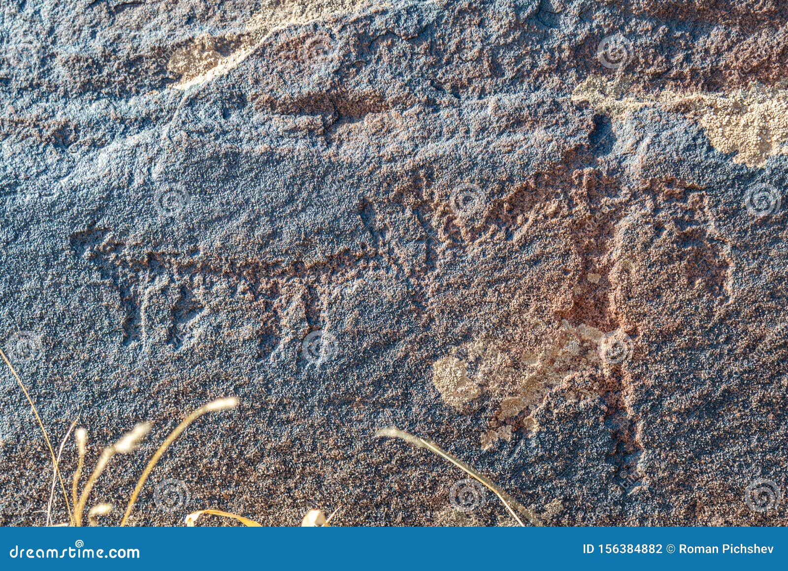 Ancient Cave Paintings. Petroglyphs in the Wild. Stock Photo - Image of ...