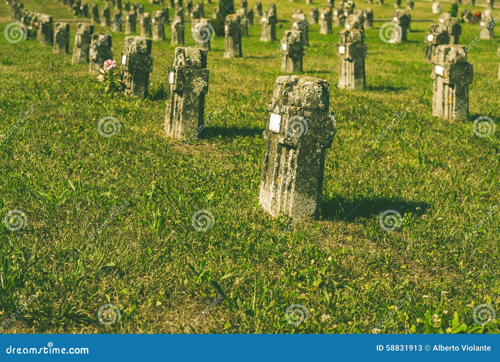 An Ancient Cemetery and Grass Stock Image - Image of nostalgia, field ...