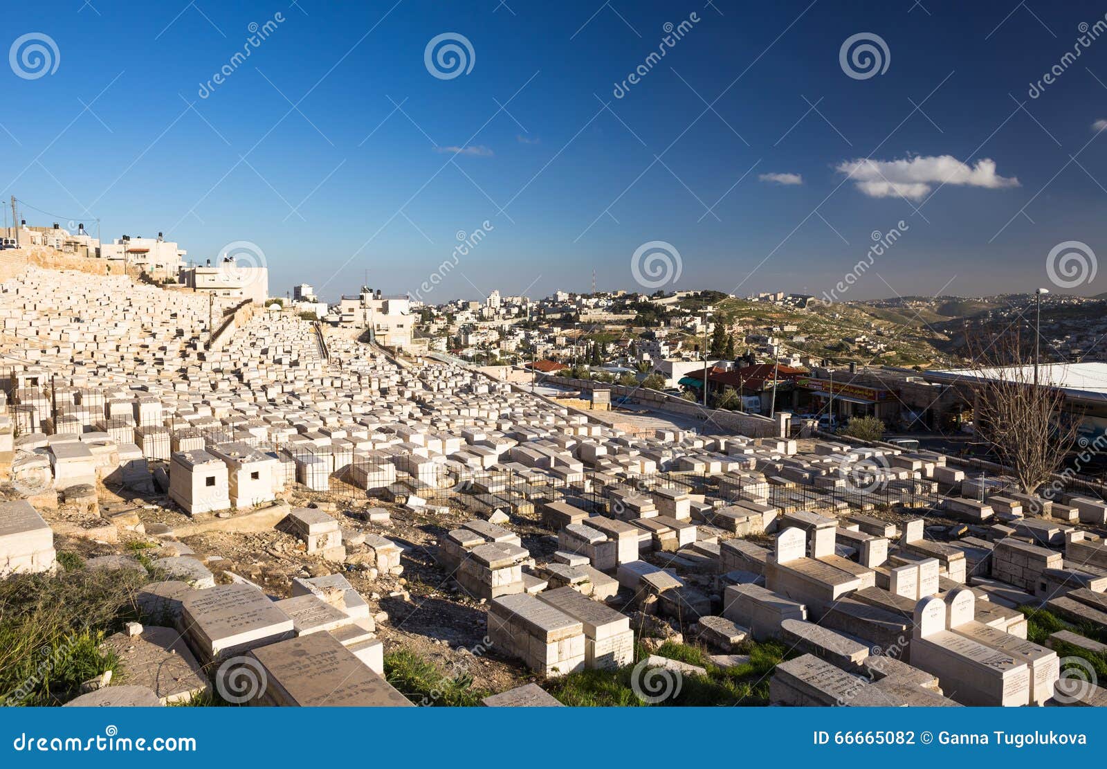 Ancient Cemetery in Jerusalem at Sunny Evening Editorial Photography ...