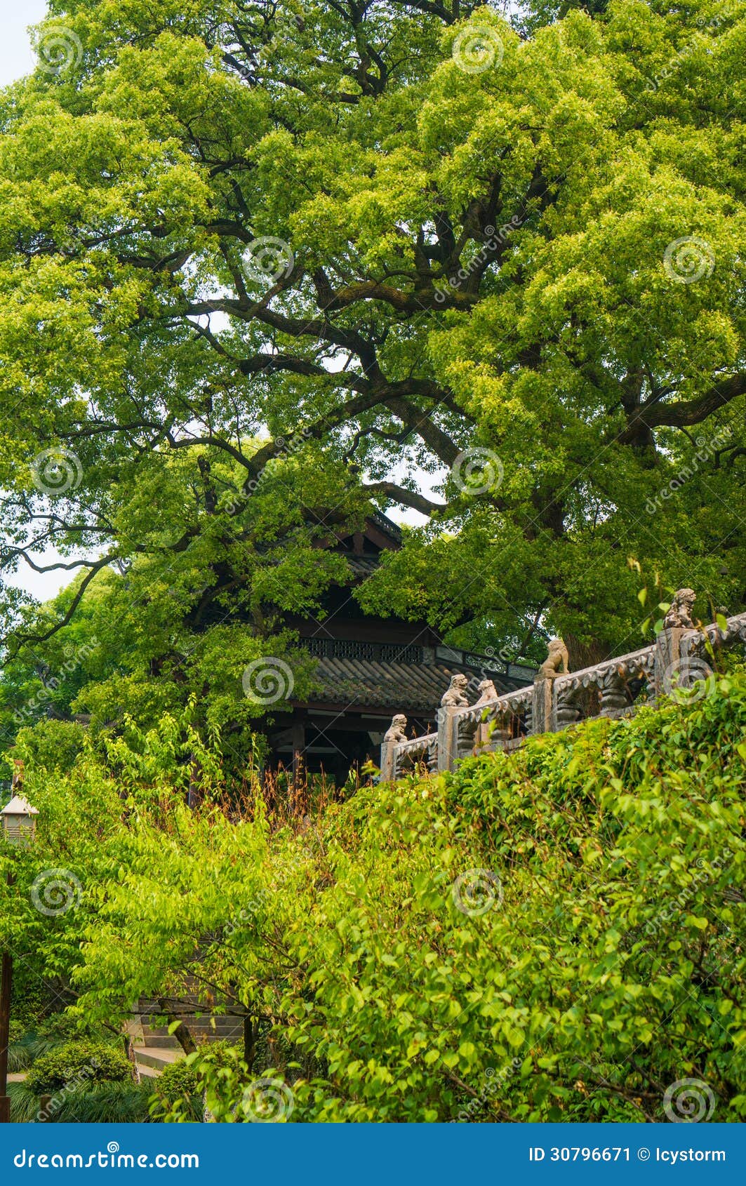 Ancient Chinese Building in the Trees Stock Image - Image of hangzhou ...