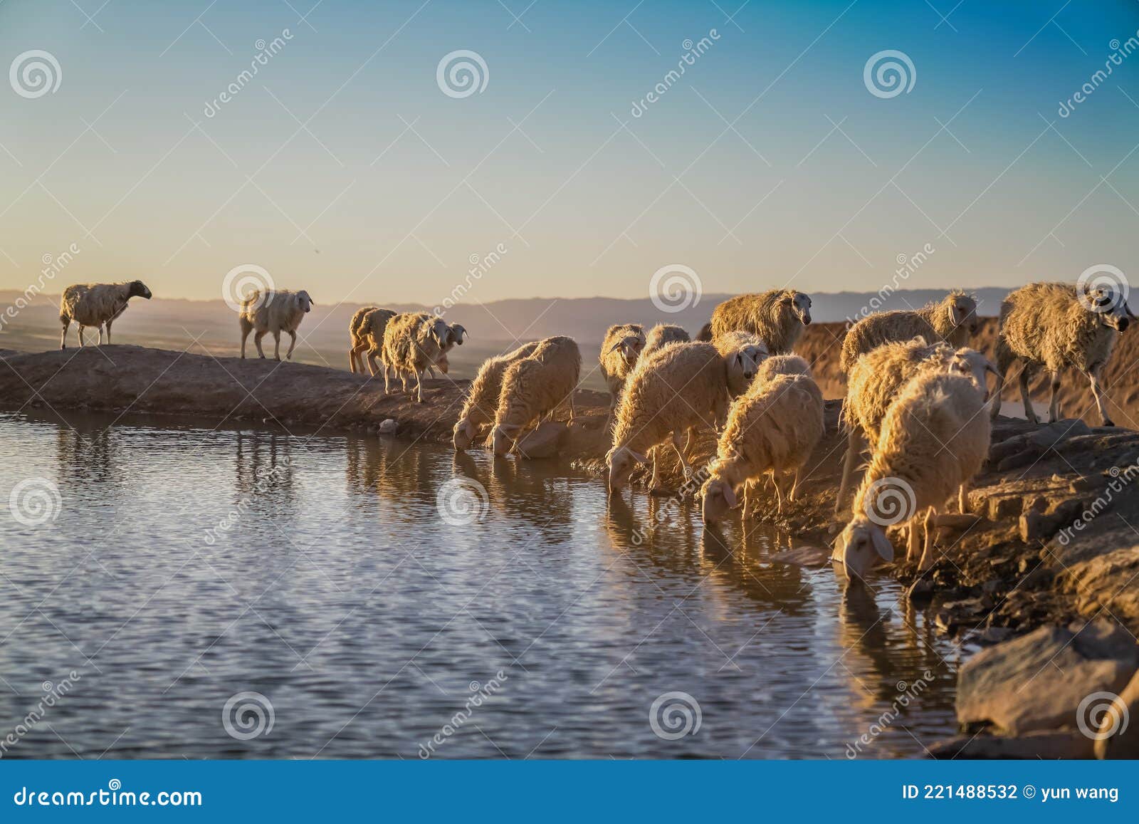 Ancient Sheep Fold Royalty-Free Stock Photography | CartoonDealer.com ...