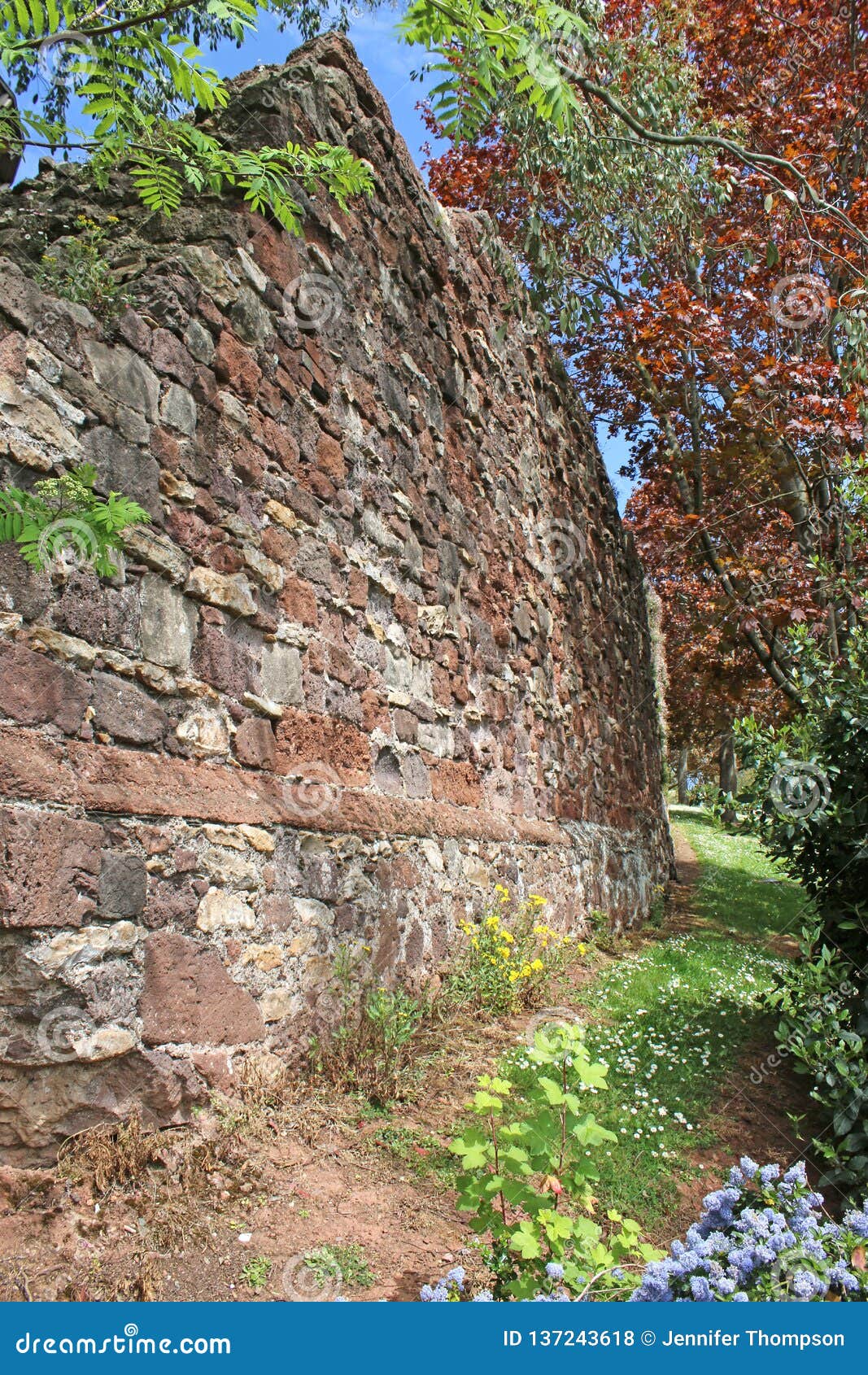 Exeter City Walls stock photo. Image of tree, walls - 137243618