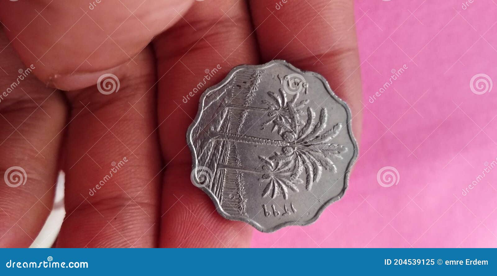 An Ancient Civilization Coin with a Palm Tree on it Stock Image - Image ...