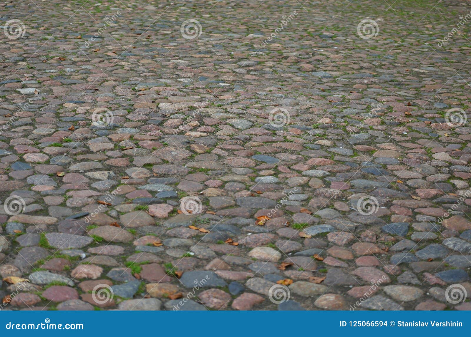 The Ancient Cobblestone Covering Stock Photo - Image of cobblestone ...