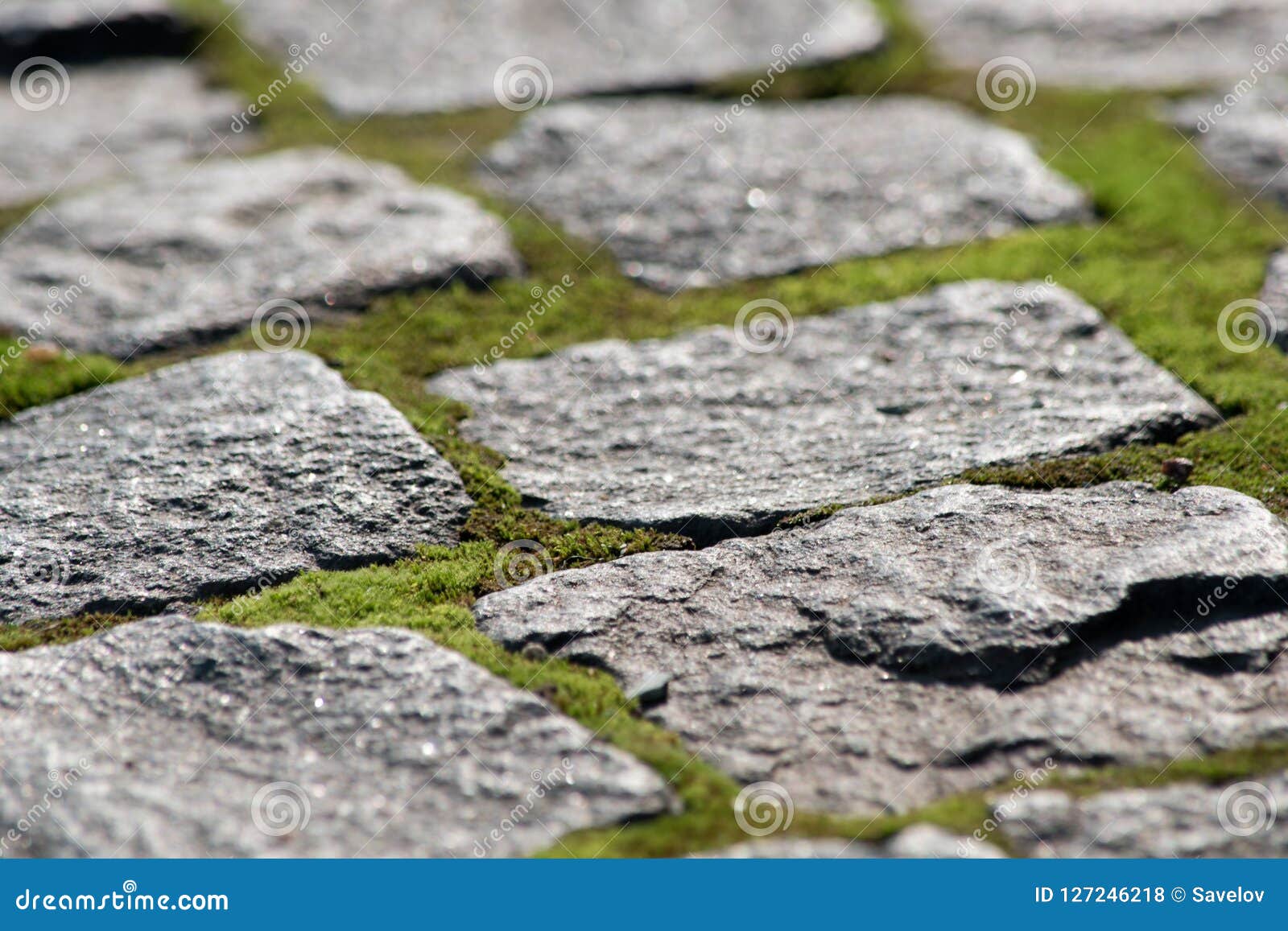 Ancient Cobblestone with Grass, Close Stock Photo - Image of moss ...