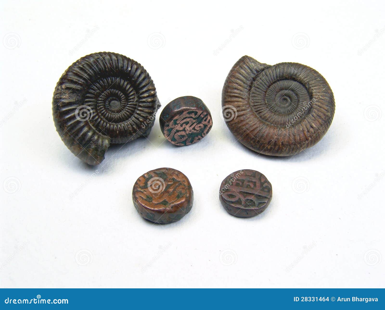 Ancient Coin and fossil stock photo. Image of archaeological - 28331464