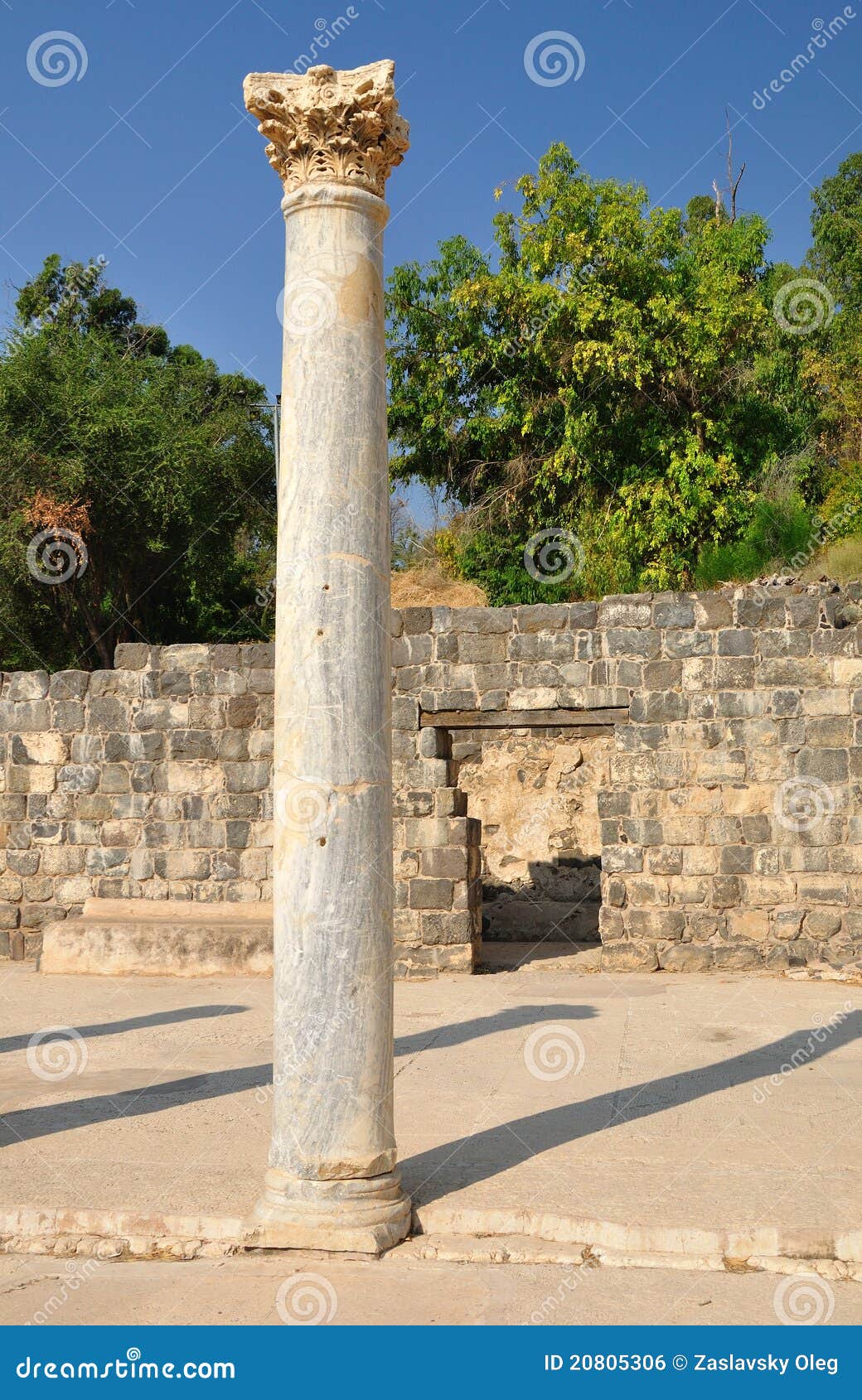 Ancient column. stock photo. Image of door, foliage, antique - 20805306