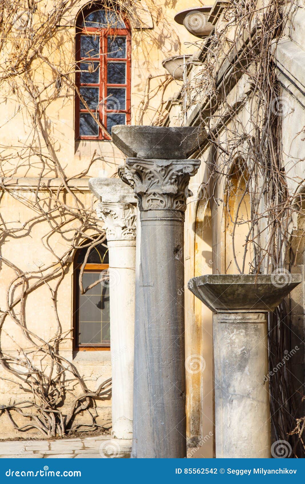 Ancient Columns Against the Wall Overgrown with Vines Stock Photo ...