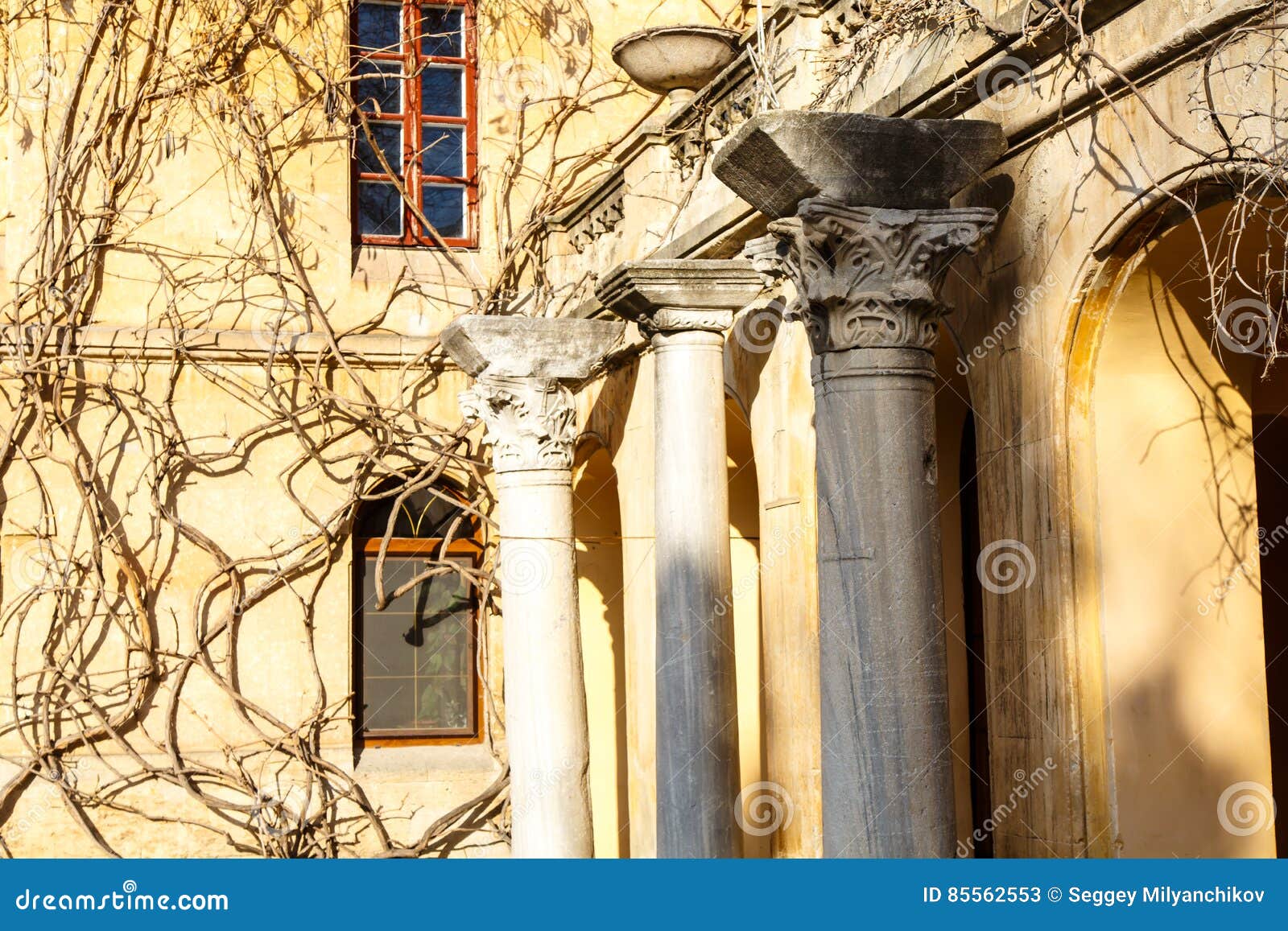 Ancient Columns Against the Wall Overgrown with Vines. Stock Image ...