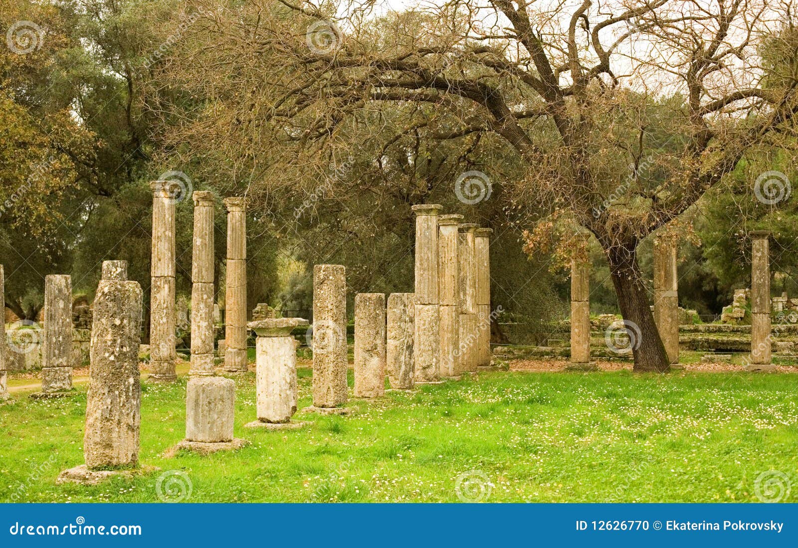 Ancient Columns in Archea Olympia Stock Photo - Image of archaeology ...