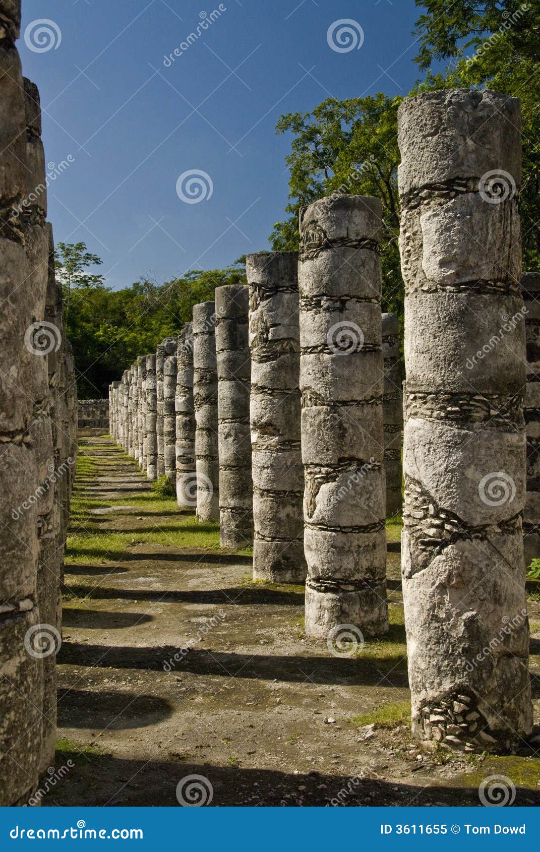 Ancient Columns At Chichen Itza Mexico Picture. Image: 3611655