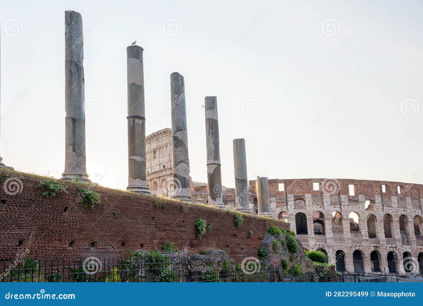 Ancient Columns by Colosseum in Rome Italy Stock Image - Image of ...