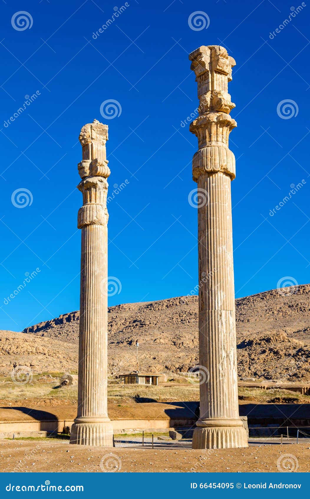 Ancient Columns in the Gate of All Nations - Persepolis Stock Image ...