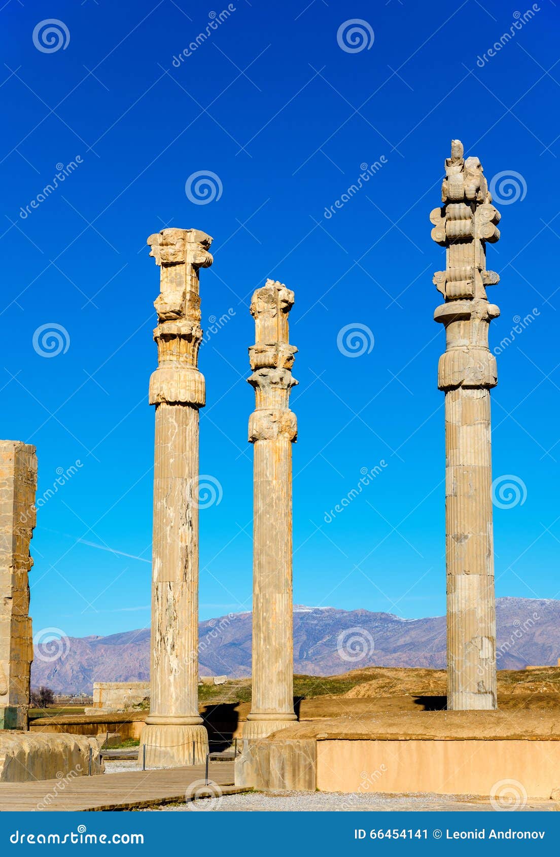 Ancient Columns in the Gate of All Nations - Persepolis Stock Image ...