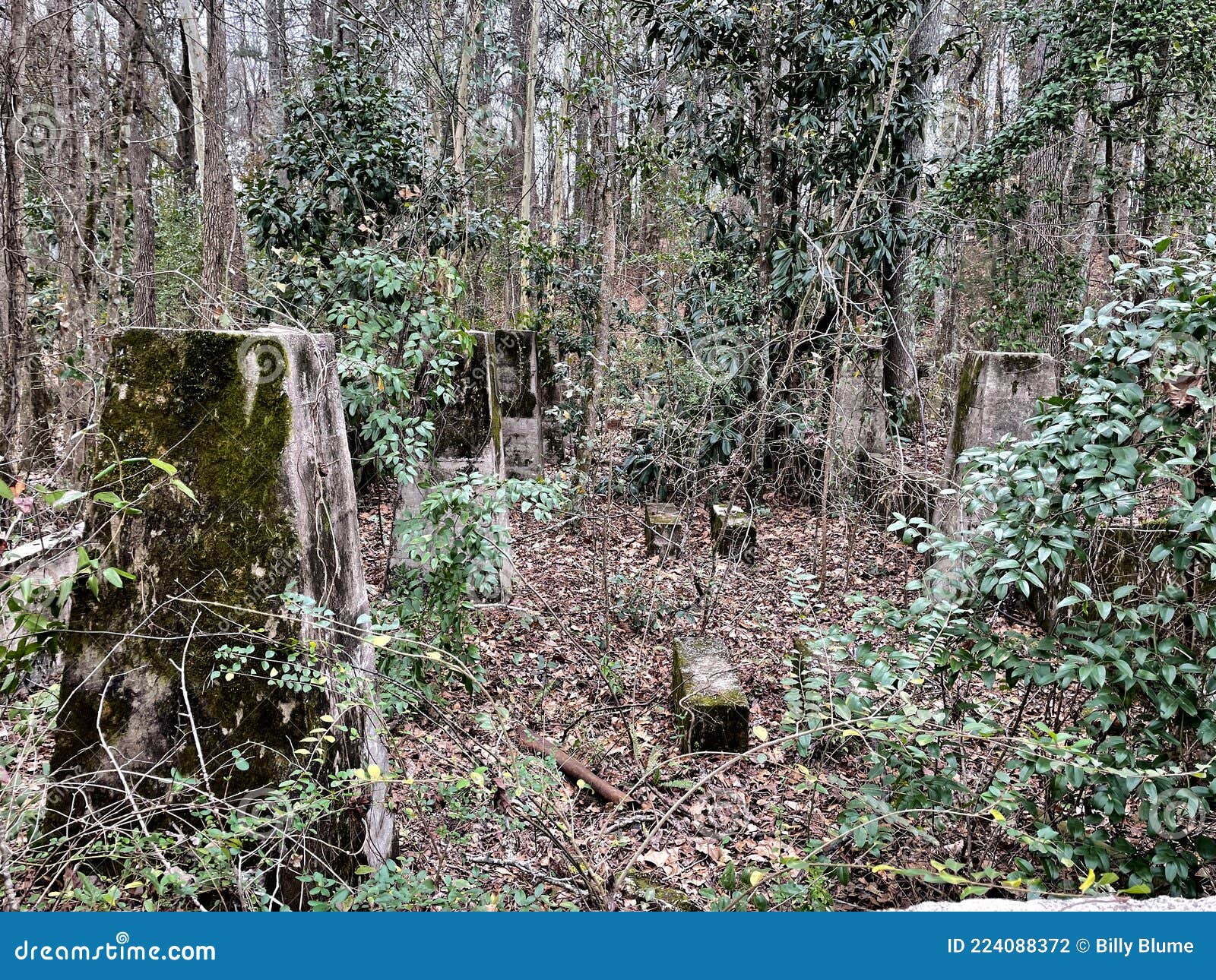 Ancient Concrete Pillars and Fall Foliage Stock Photo - Image of ...