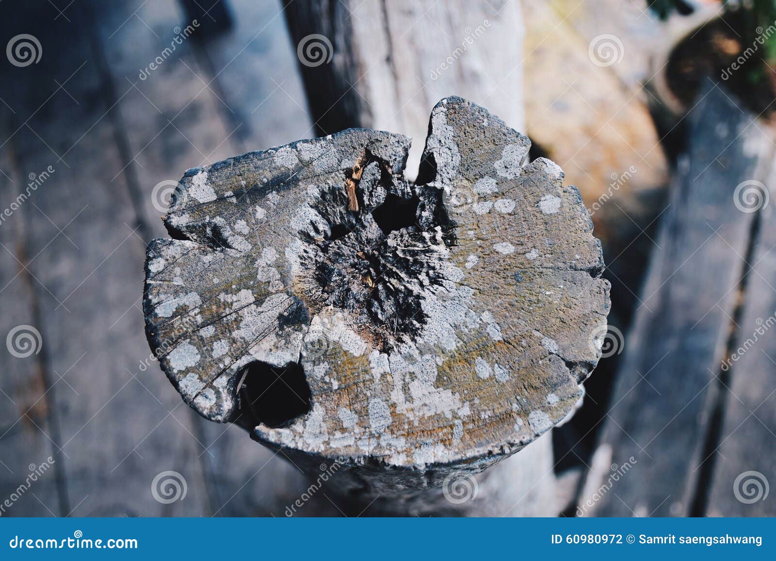 Ancient core stock photo. Image of still, core, ancient - 60980972