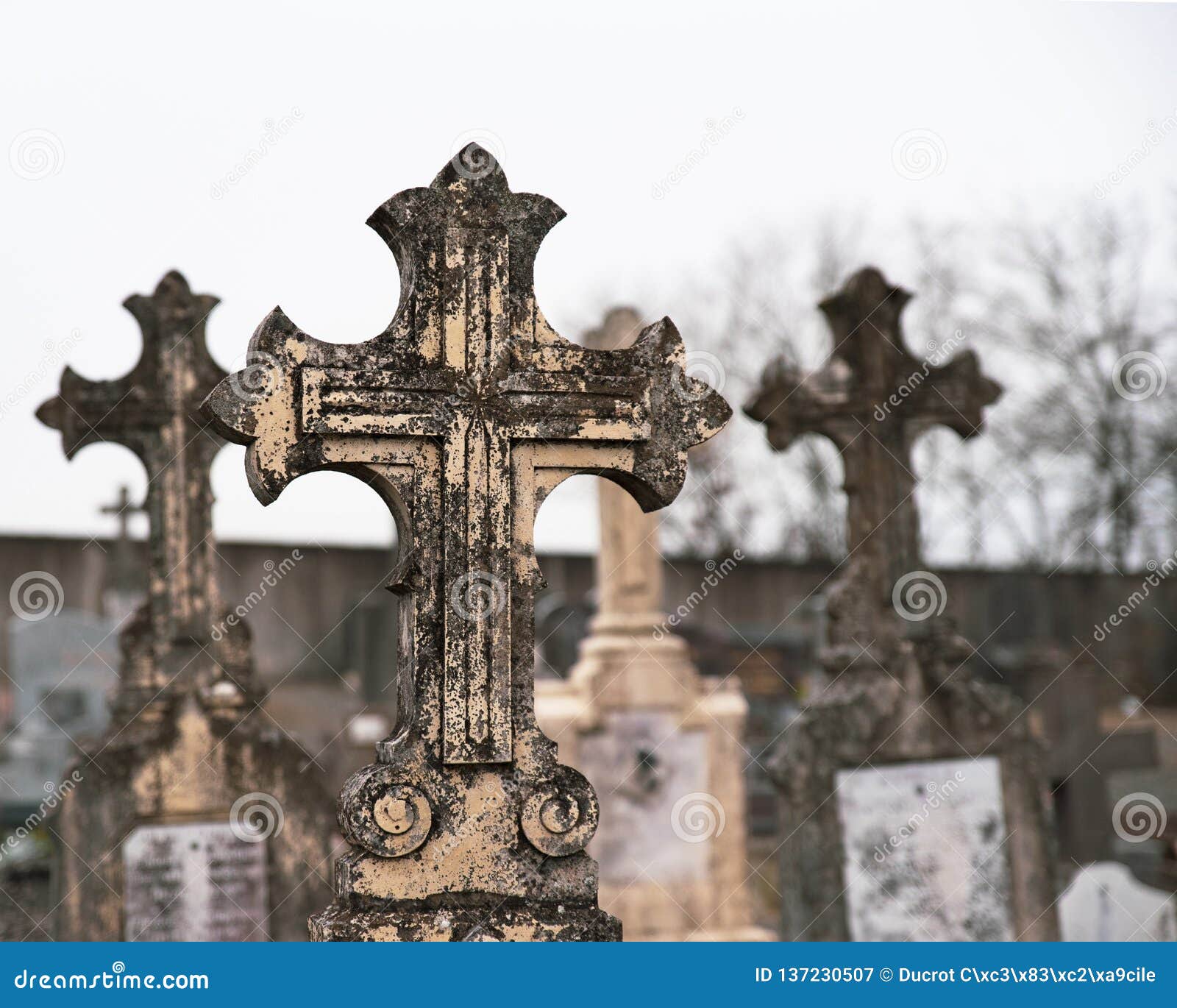 Cross in a cemetery stock image. Image of spirituality - 137230507