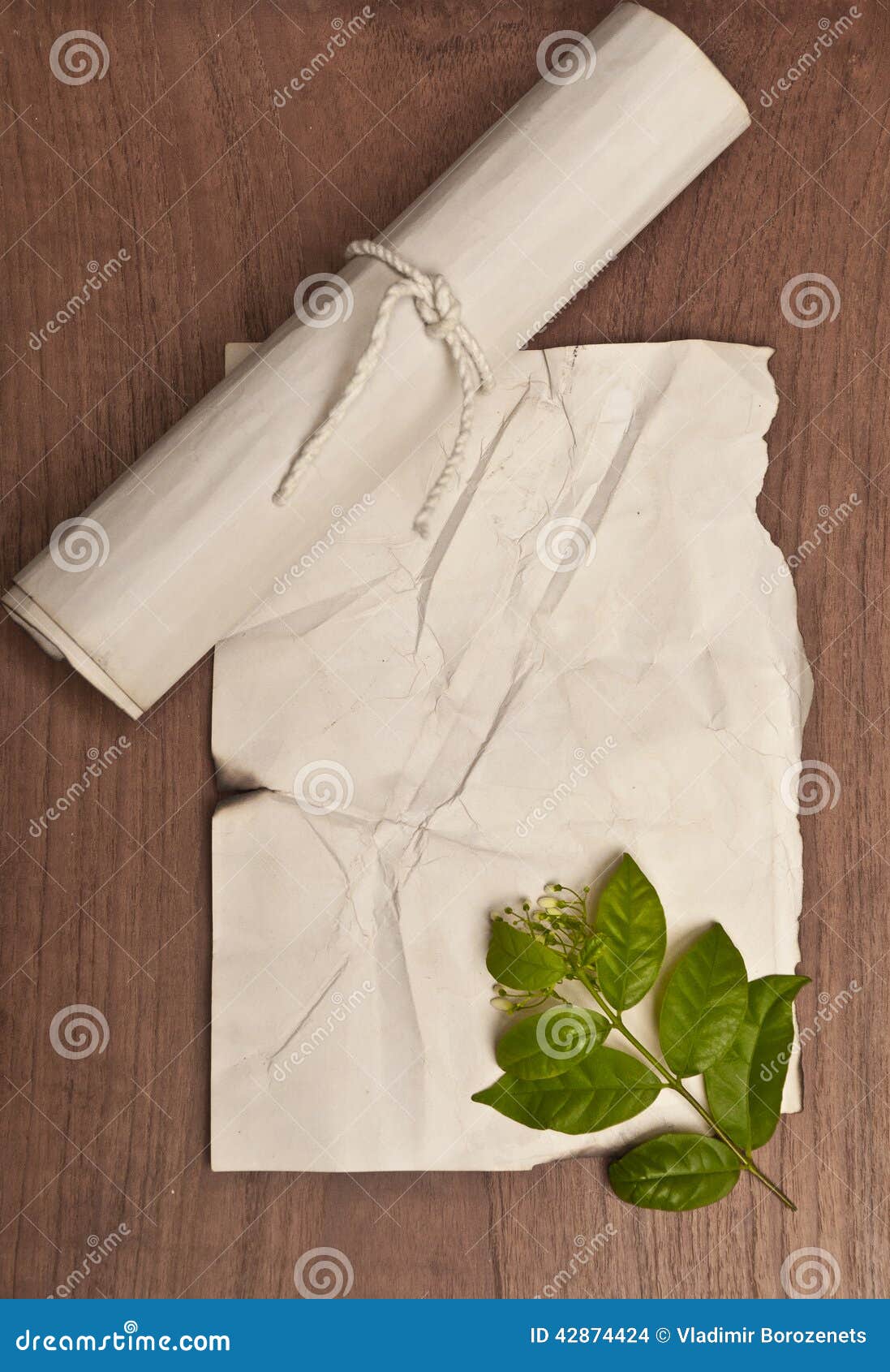 Ancient Crumpled Paper Scroll on Wood Table with Green Leaf for ...