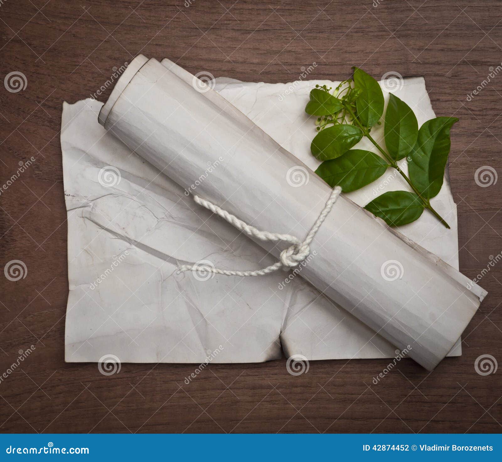 Ancient Crumpled Paper Scroll on Wood Table with Green Leaf for ...