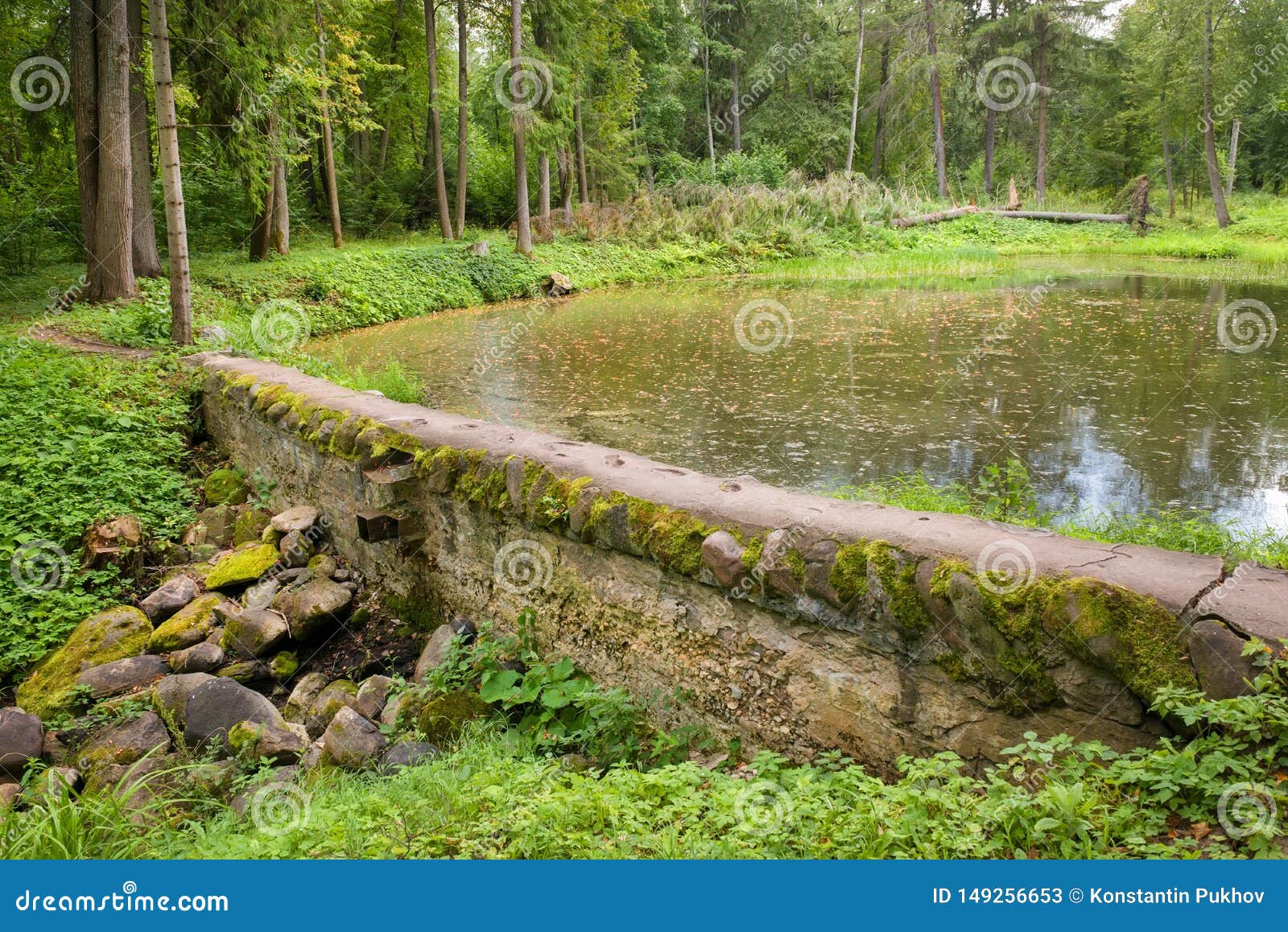Ancient dam in the forest stock image. Image of lock - 149256653