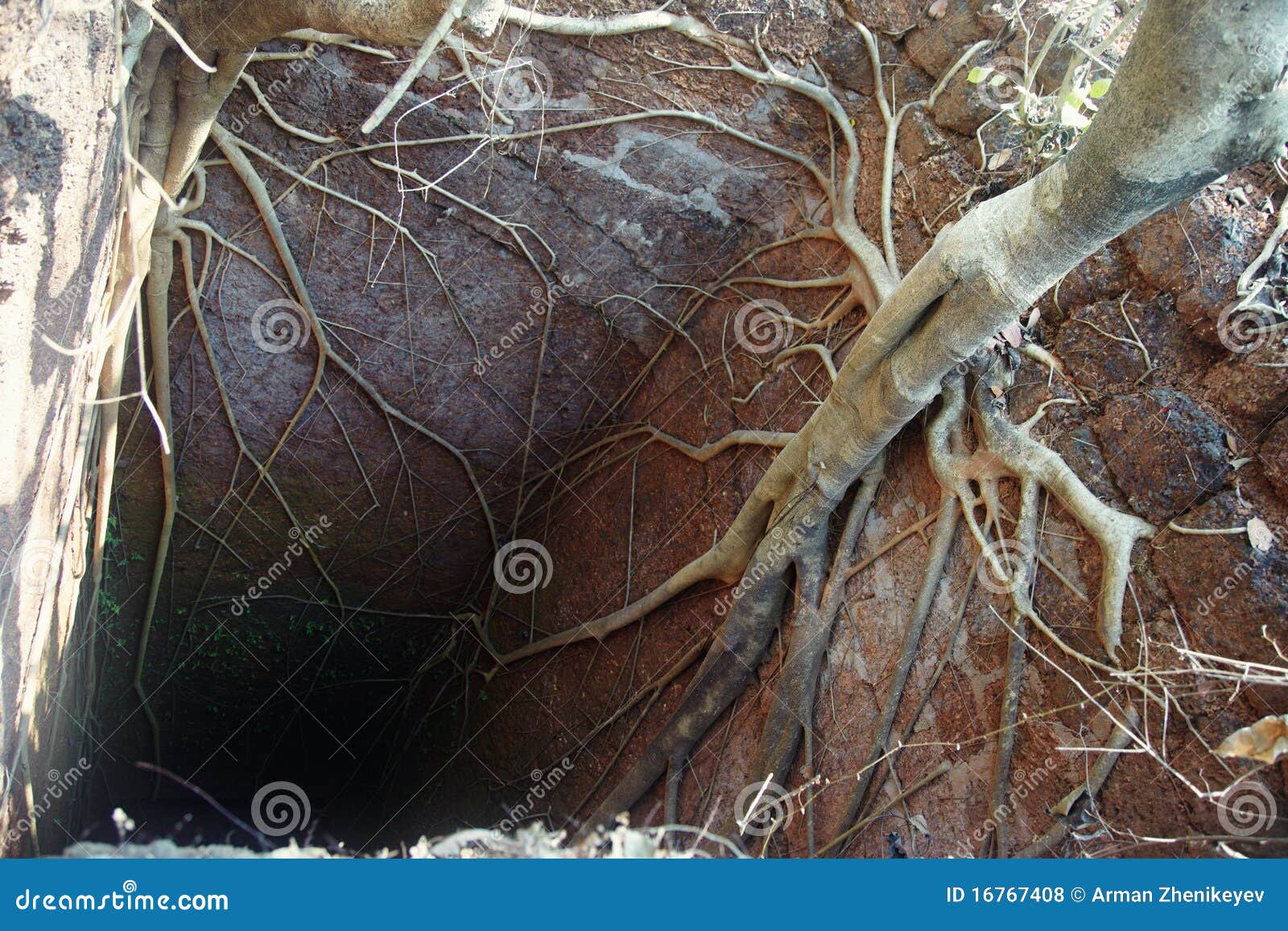 Ancient deep well stock photo. Image of root, hole, ancient - 16767408