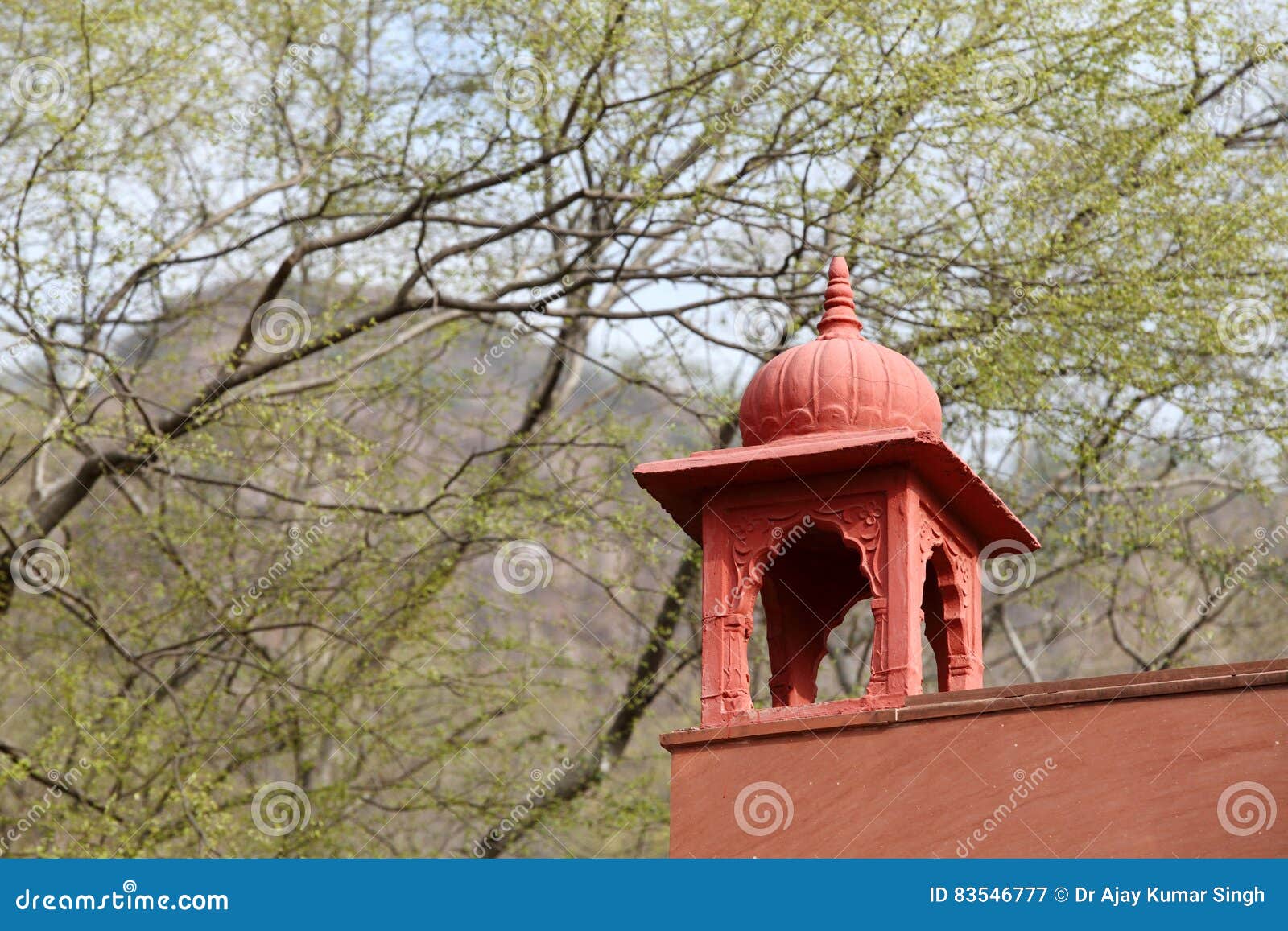 Ancient Designed Wall of a Forest Guard Post in Ranthambore National ...