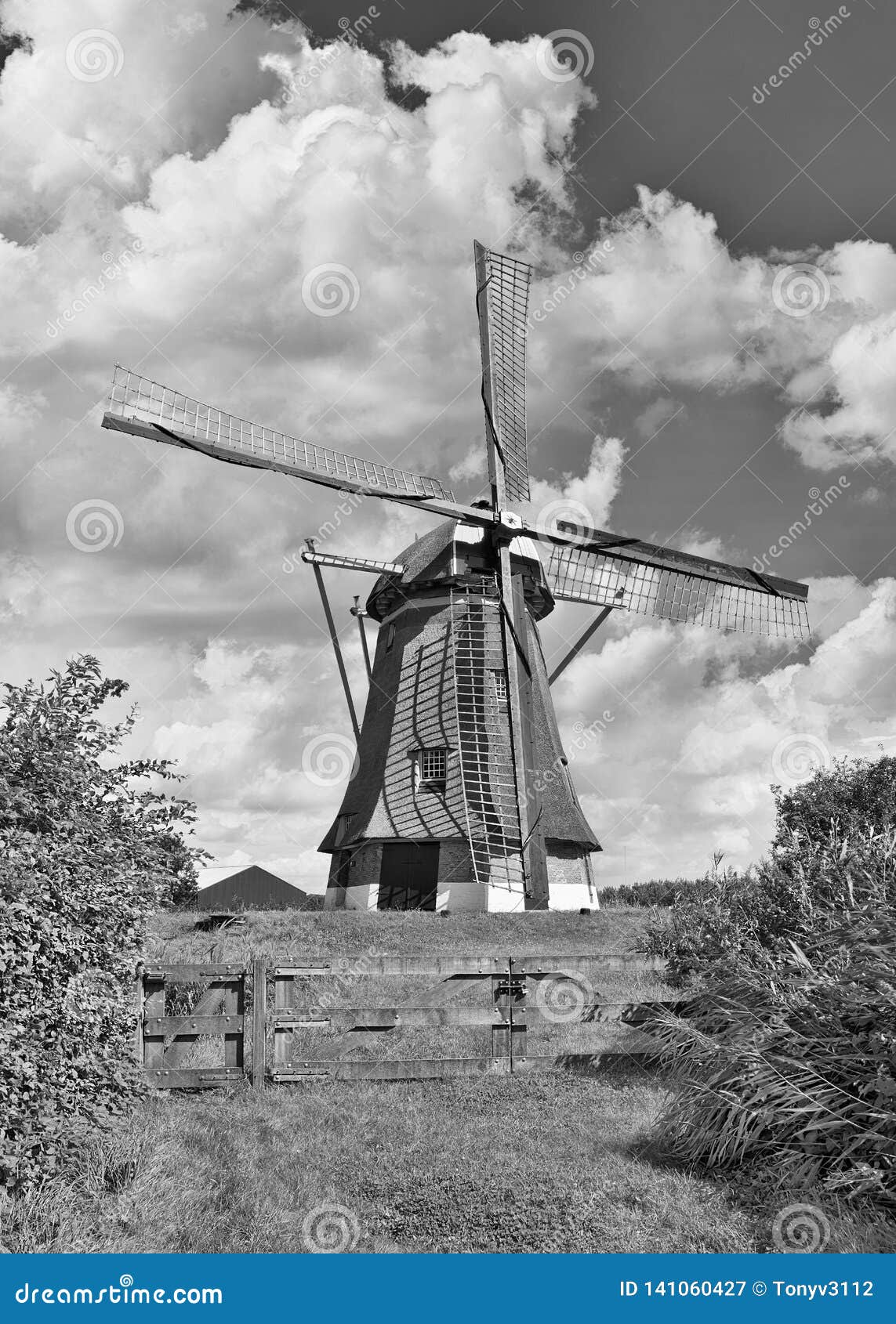 Ancient Windmill with Thatched Roofing in a Field with Dramatic Shaped ...