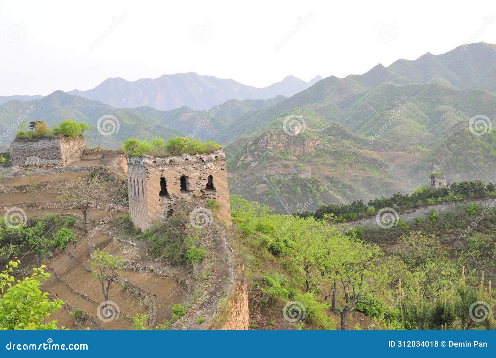 Ancient Ecological Wall, North China, Elm Ridge, the Great Wall Stock ...