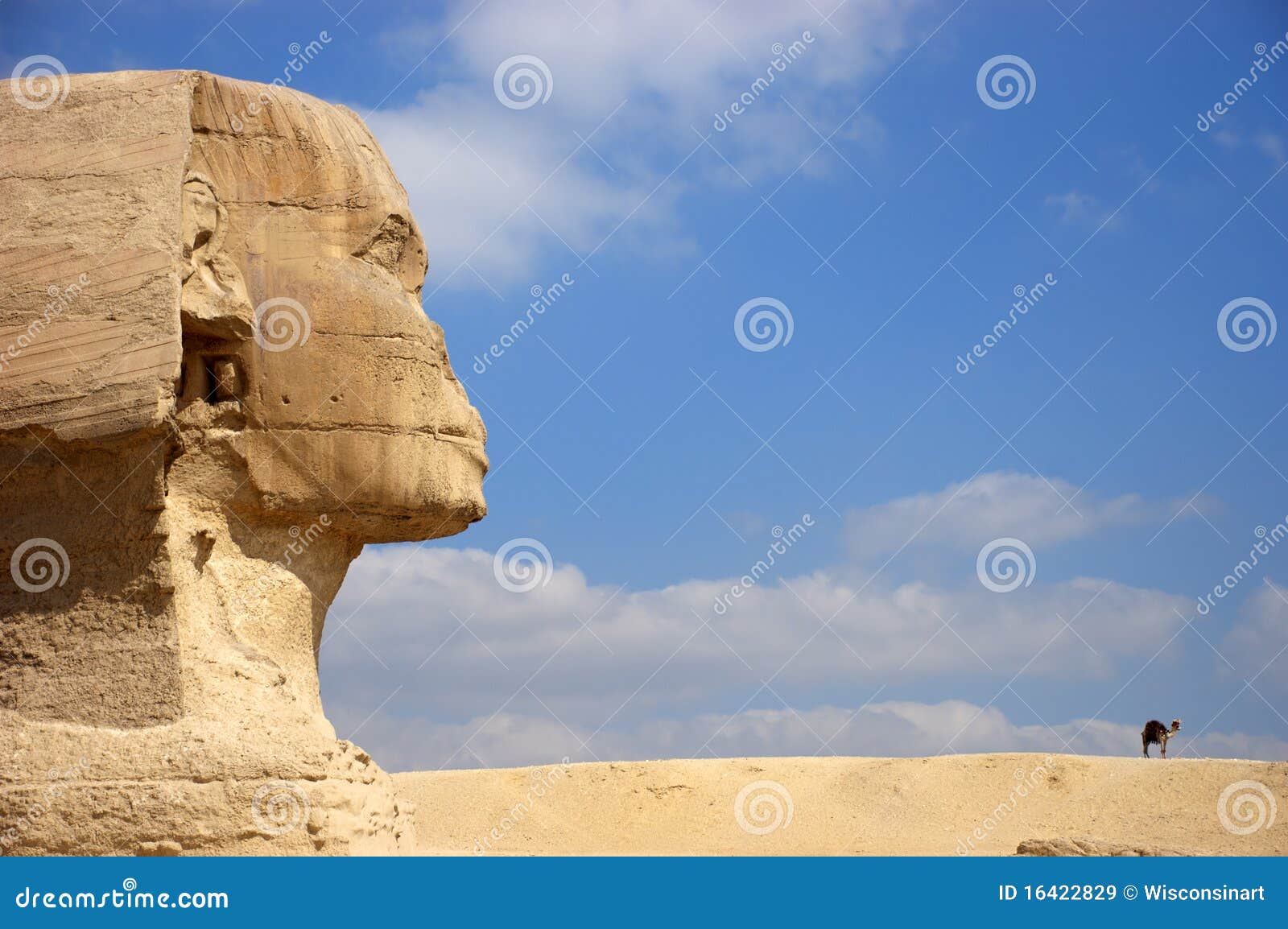 Ancient Egypt Cairo Giza Sphinx, Camel, Travel Stock Image ...