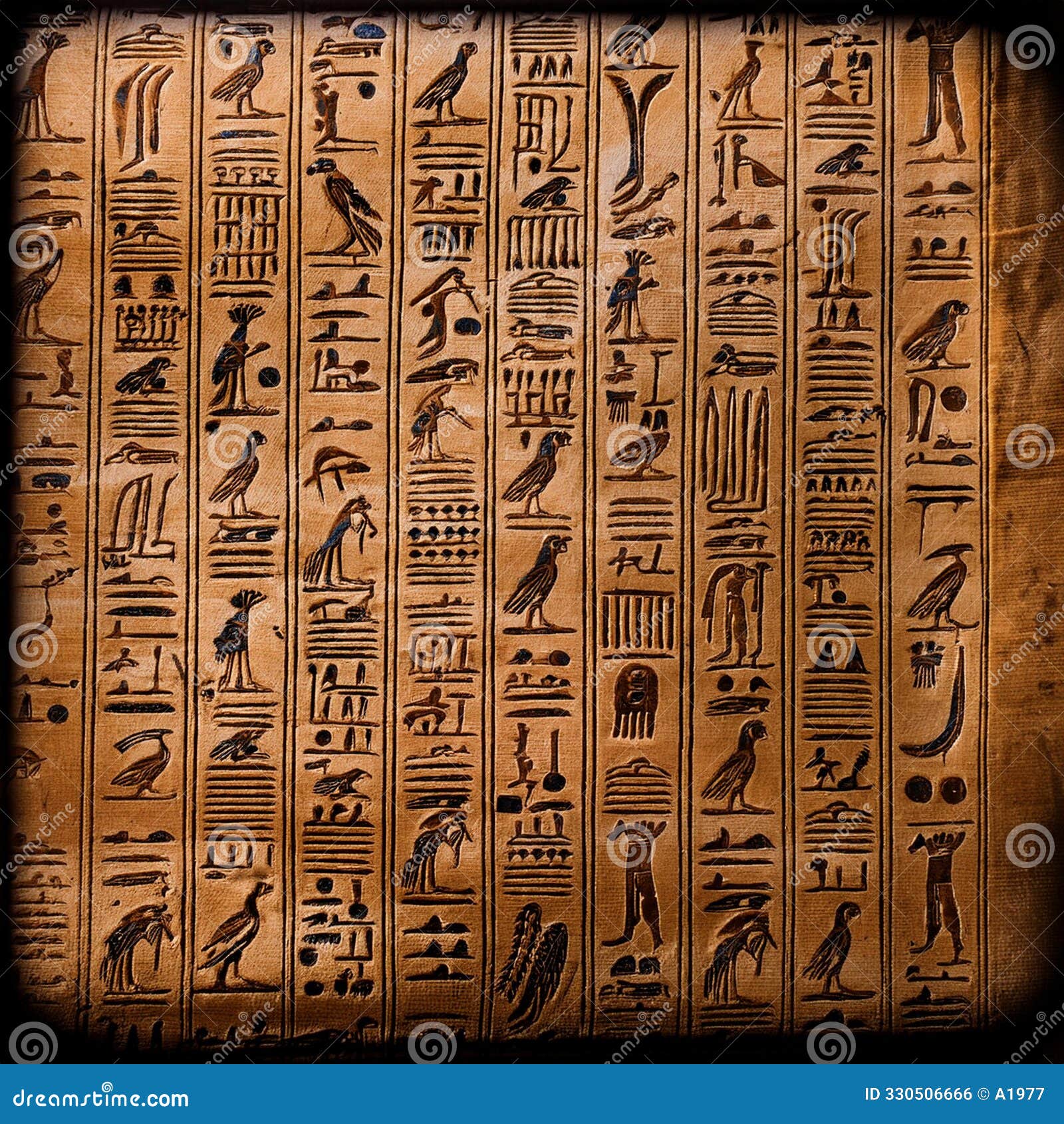 Pictogram Hieroglyphs Chinese Horoscope Vector Illustration ...