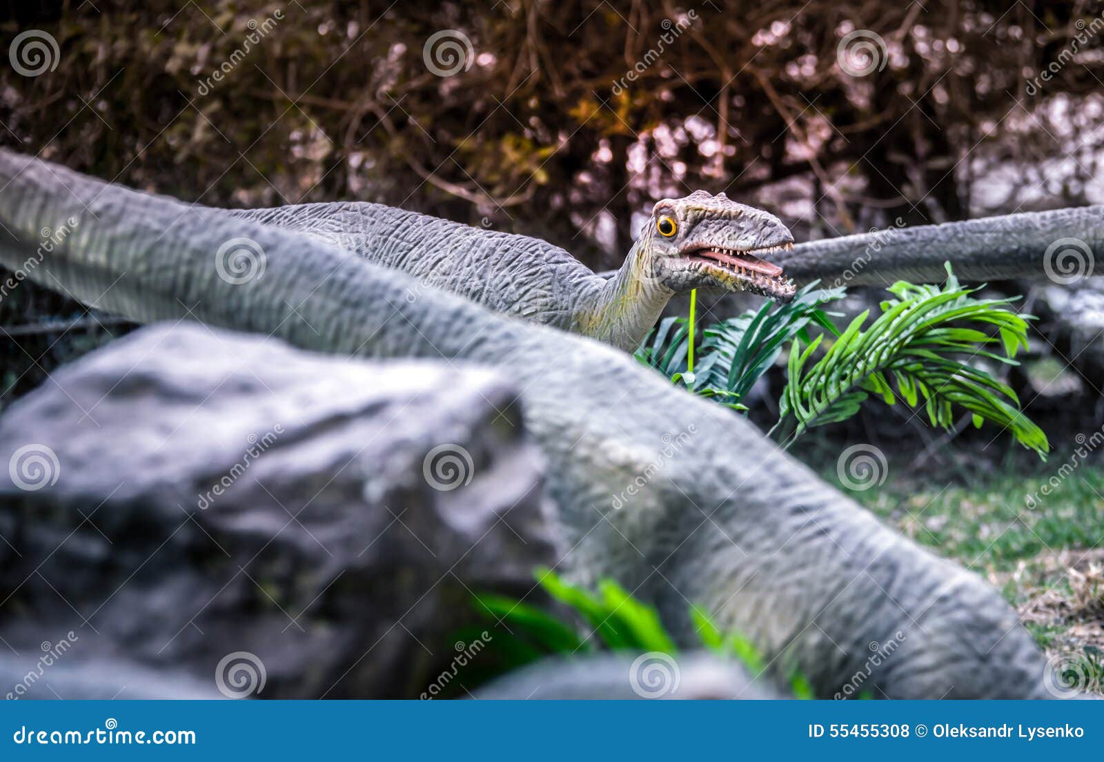 Ancient Extinct Dinosaur Stock Photography | CartoonDealer.com #55455308