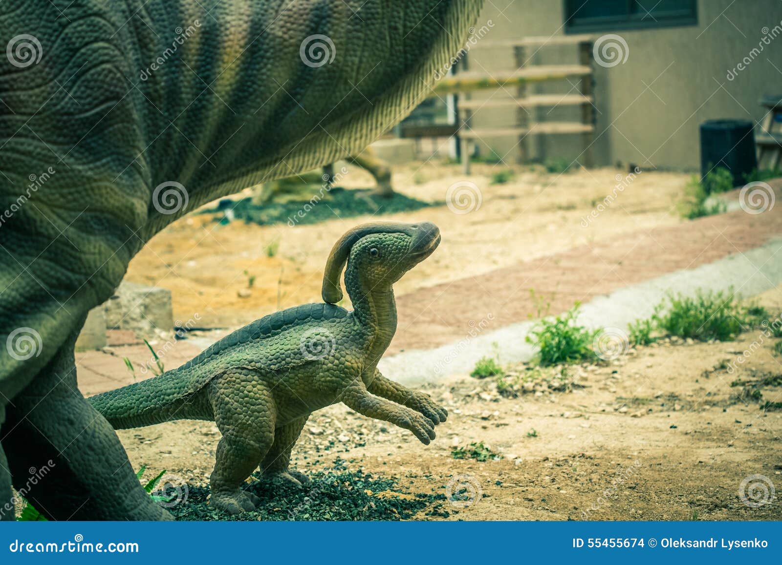 Ancient extinct dinosaur stock photo. Image of predator - 55455674