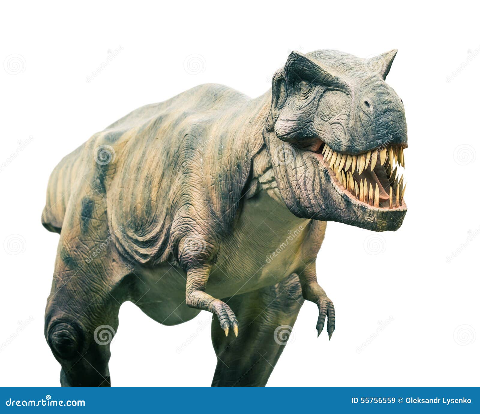 Ancient Extinct Dinosaur Stock Image | CartoonDealer.com #55455433
