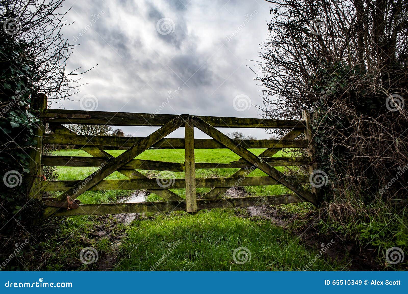 Ancient farm gate stock image. Image of gate, cattle - 65510349