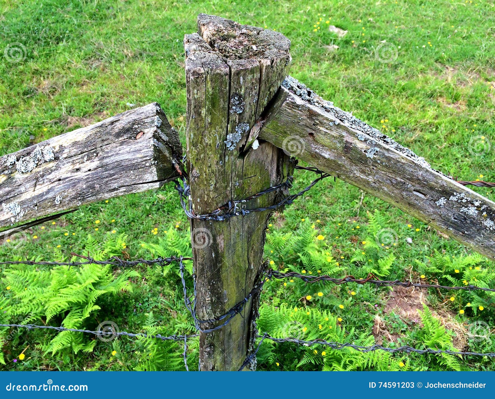 Ancient Fence with Barb Wire Stock Image - Image of wooden, nostalgic ...