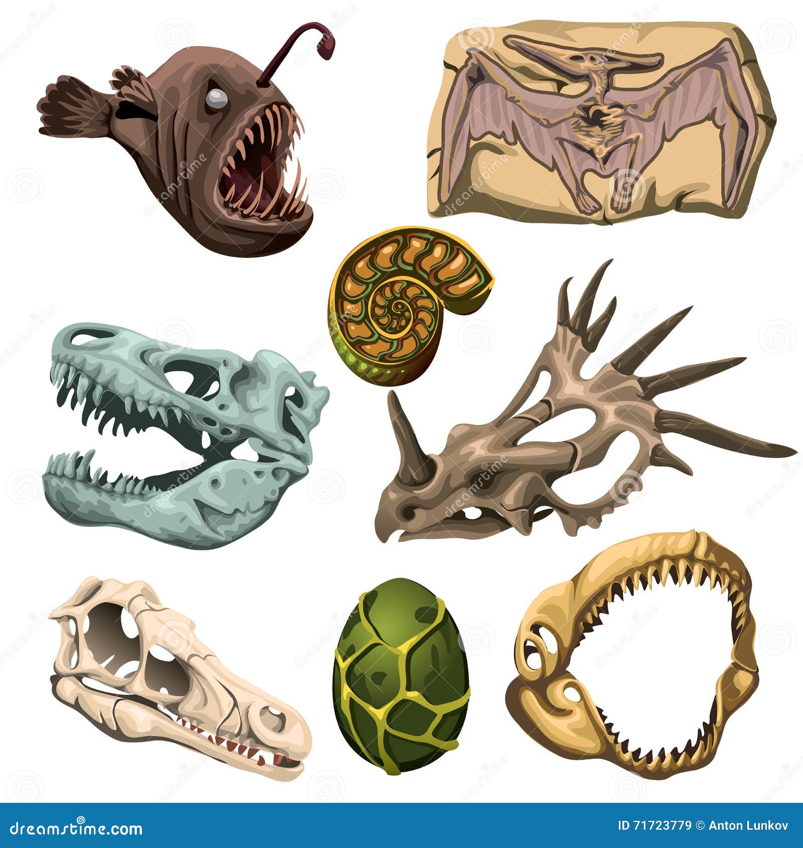 Ancient Fossil Animals, Fish and Egg Stock Vector - Illustration of ...