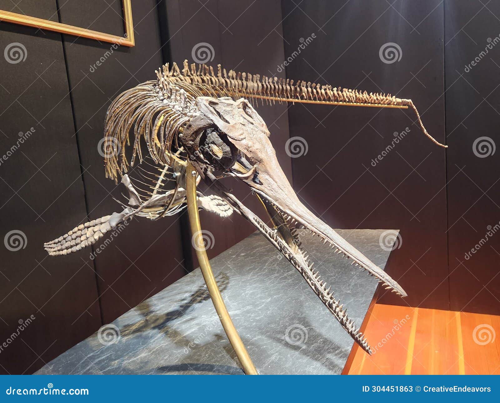 Ancient Fossilized Small Ichthyosaur with Shadow - Mounted Skeleton ...
