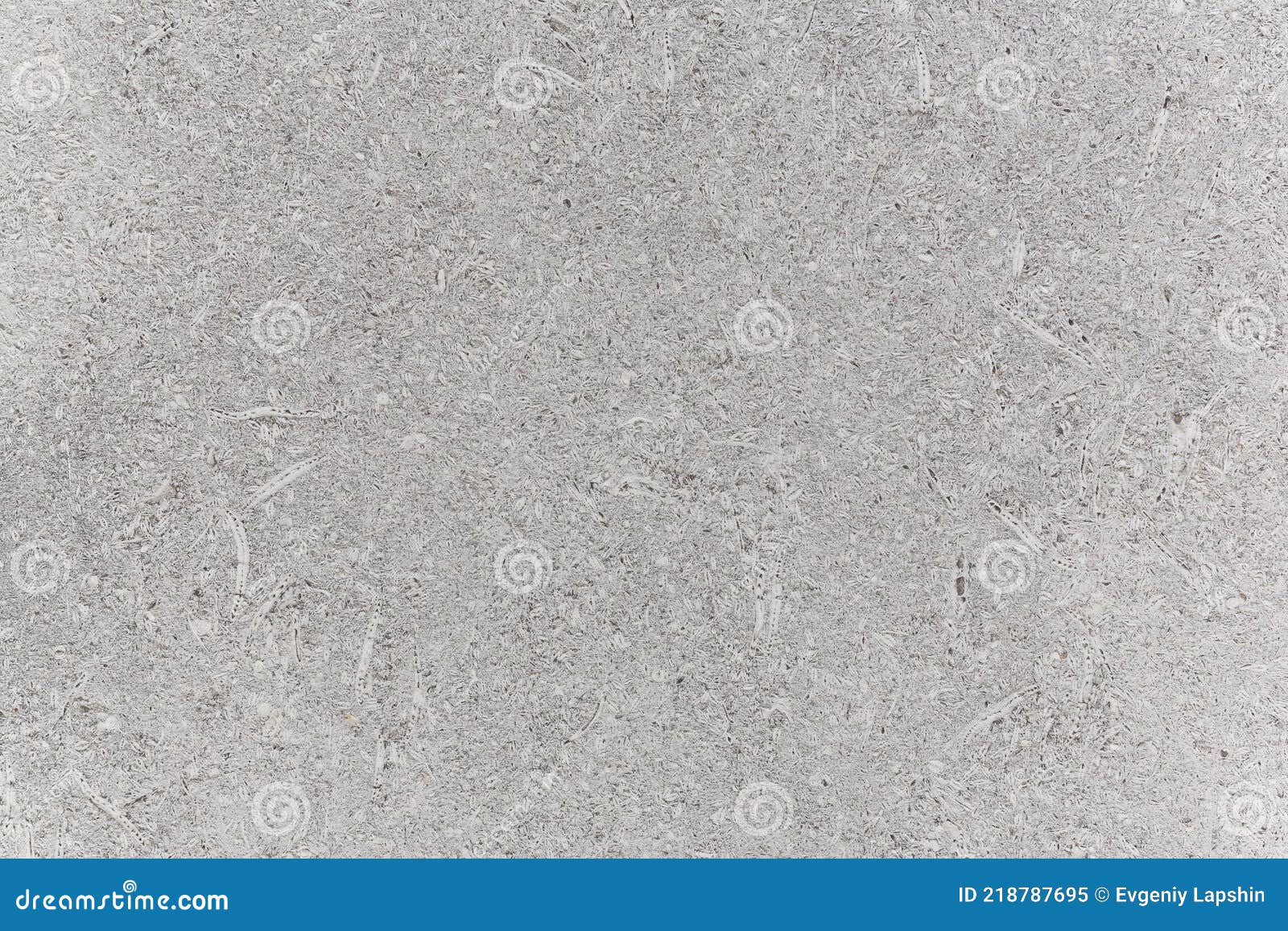 Ancient Fossils are the Sedimentary Rock of the Ancient Ocean, a Unique ...