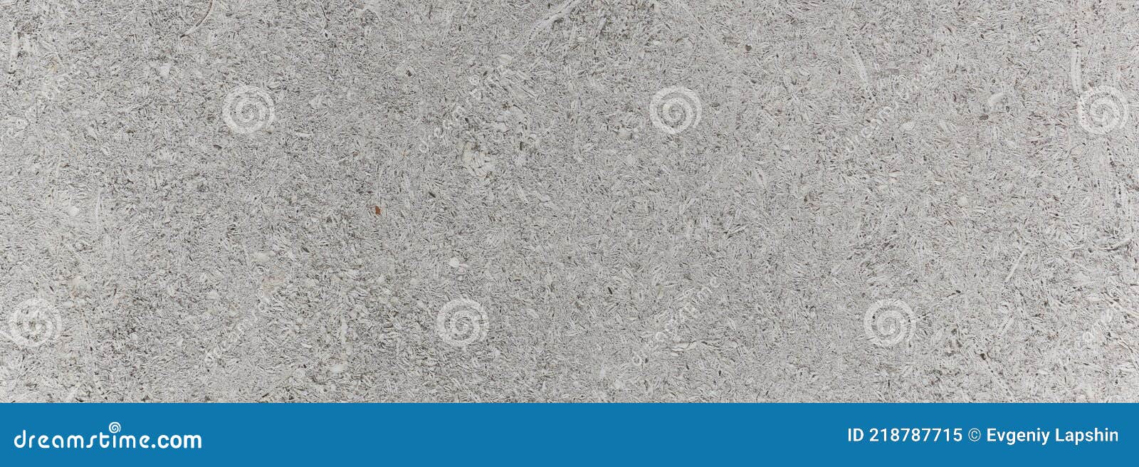 Ancient Fossils are the Sedimentary Rock of the Ancient Ocean, a Unique ...