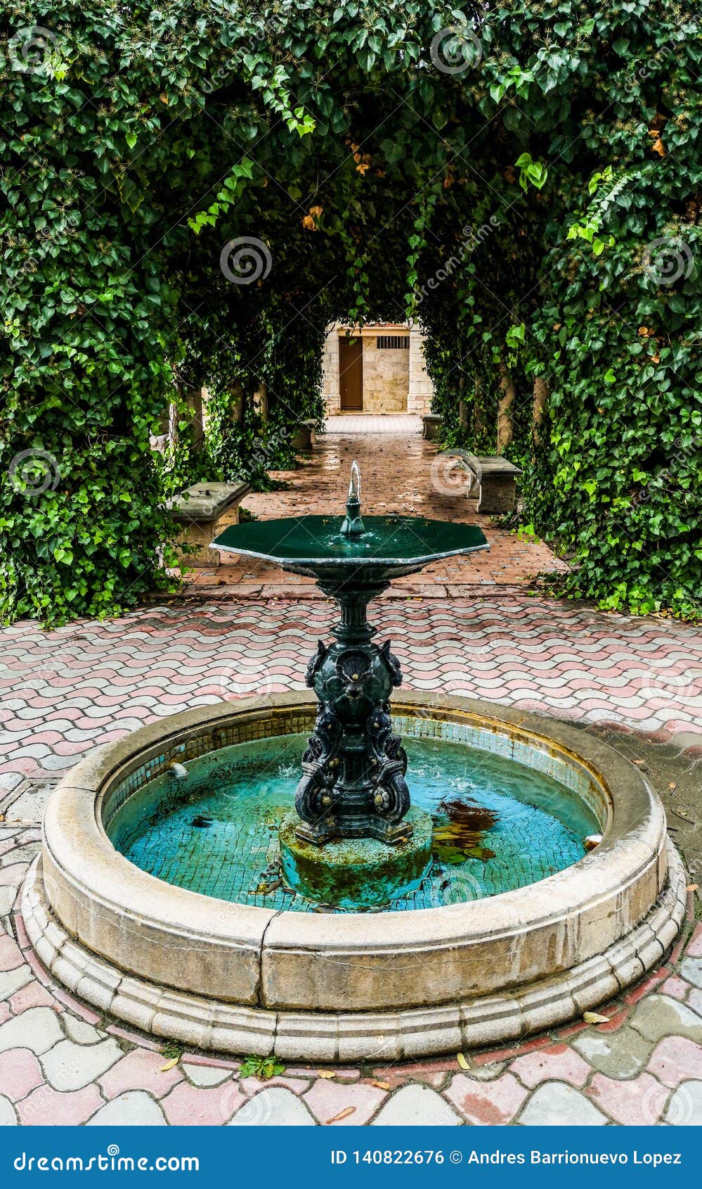 Ancient Fountain with a Structure Covered with Plants Stock Photo ...
