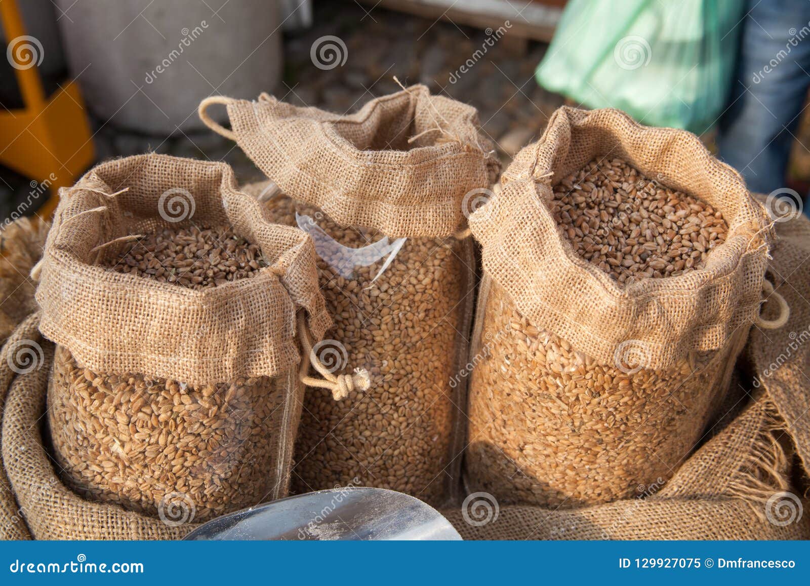 Ancient Grain Original Varieties Italians from Ancient Italy Seeds ...