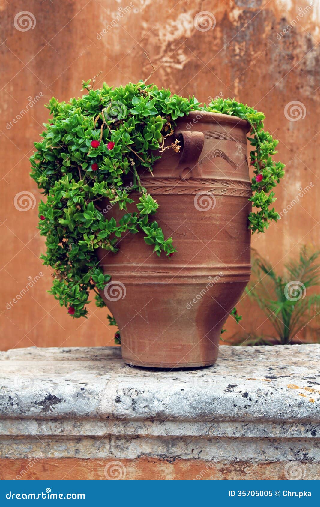 Ancient Greek Terracotta Flowerpot Stock Image - Image of paved ...