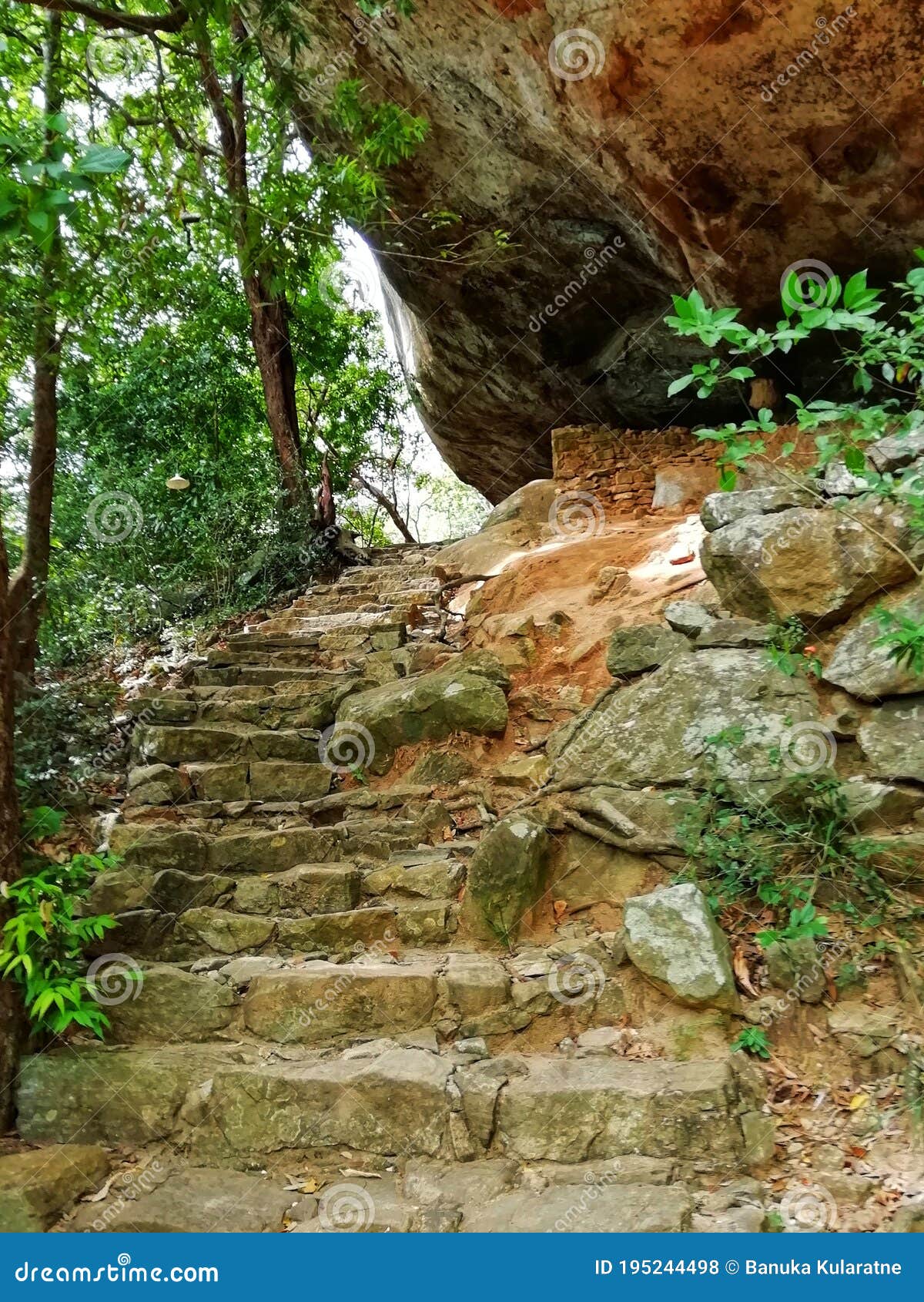 Ancient Green Path in a Temple Stock Photo - Image of woodland, trail ...